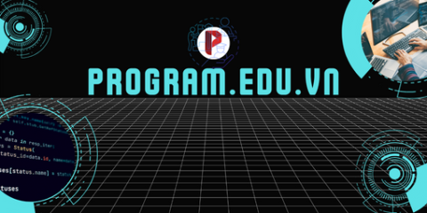 Bài viết học thuật | ProgramVN